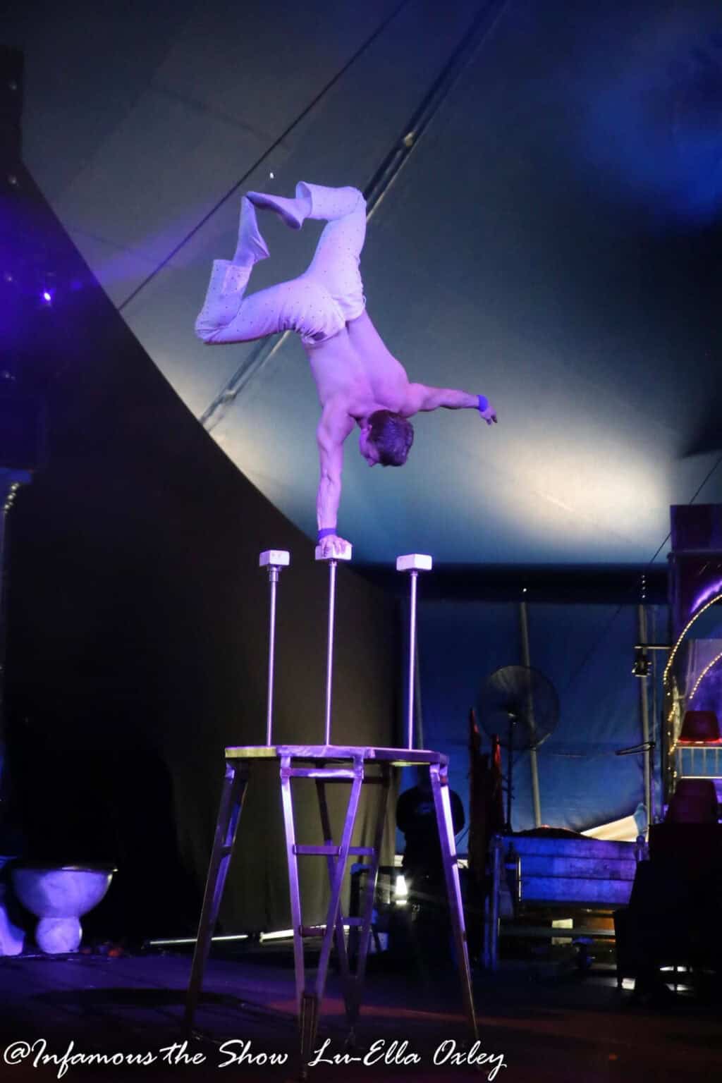 Circus Spectacular – Ashton Entertainment